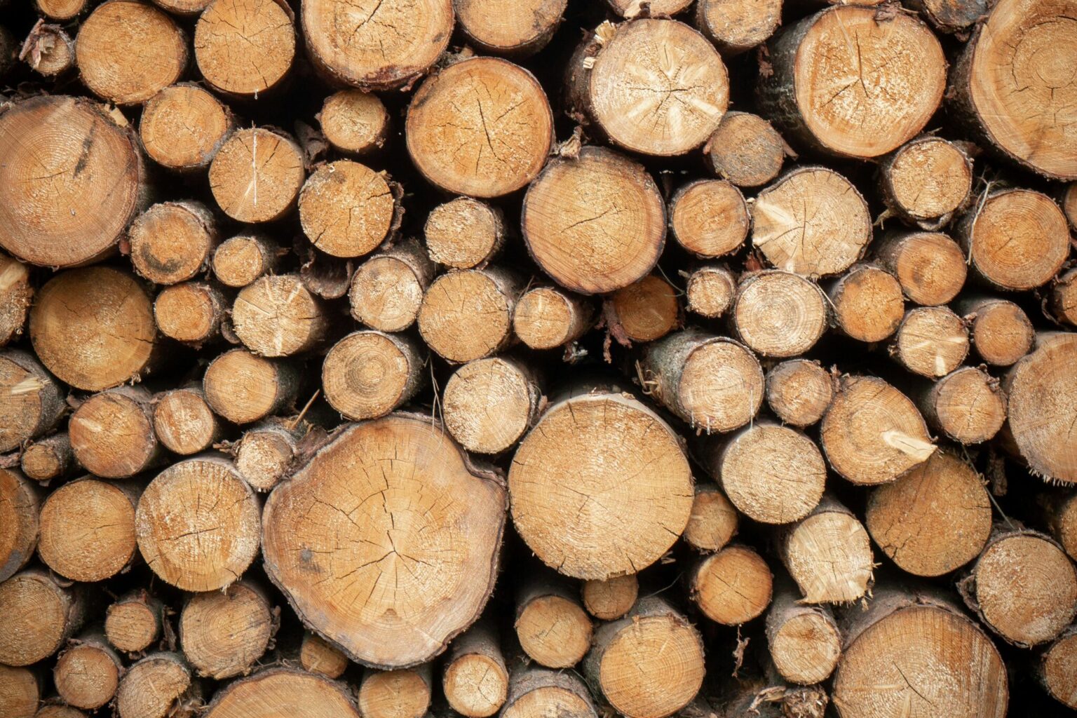 Life cycle assessment of biomass energy : state of the art ...